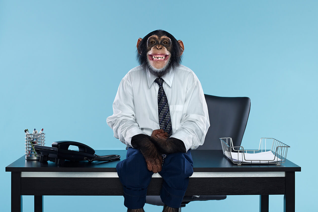 Monkey Lab fête ses 10 ans